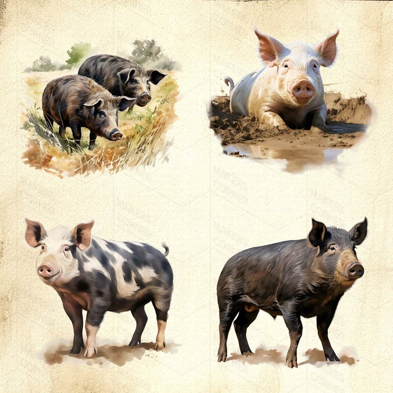 Free-range Pigs Clip Art Collection High-quality Digital Downloads for ...