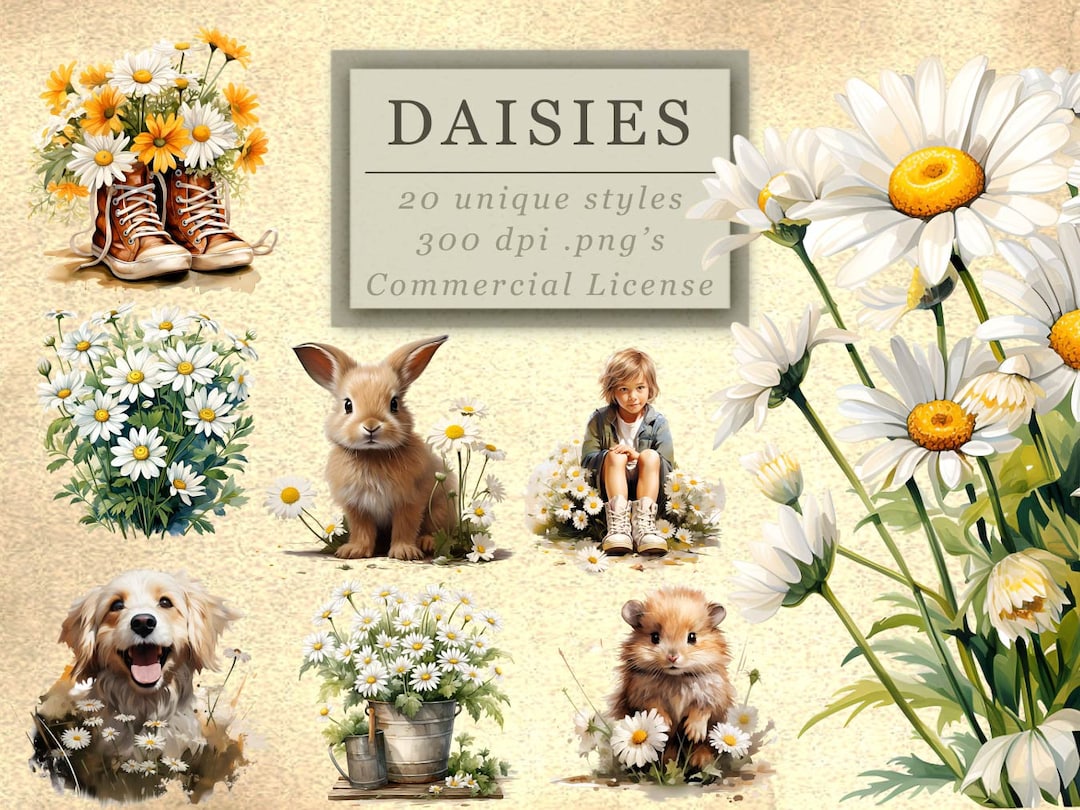 Daises Clip Art Collection for Art and Design - Beautiful Watercolor ...
