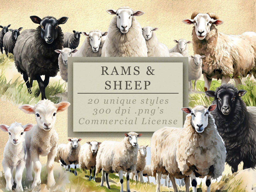 Rams & Sheep Clip Art Collection - High-quality Digital Downloads for ...