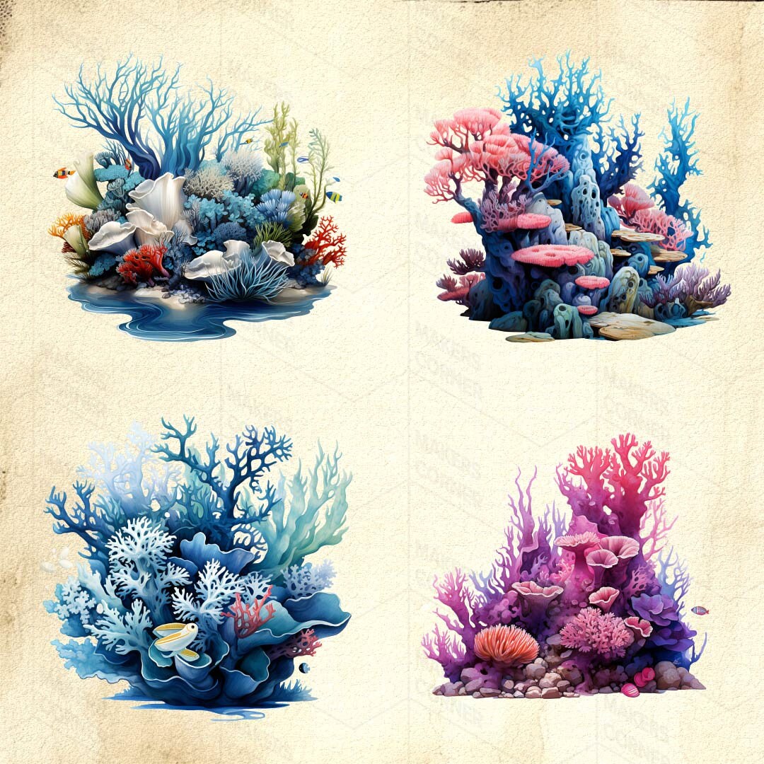 Vibrant Coral Reefs Clip Art Collection for Art and Design - Etsy
