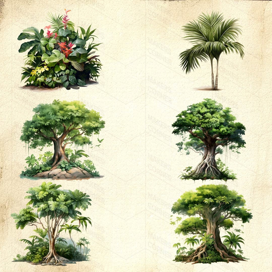 Tropical Rainforest Flora Clip Art Collection Stunning Watercolor ...