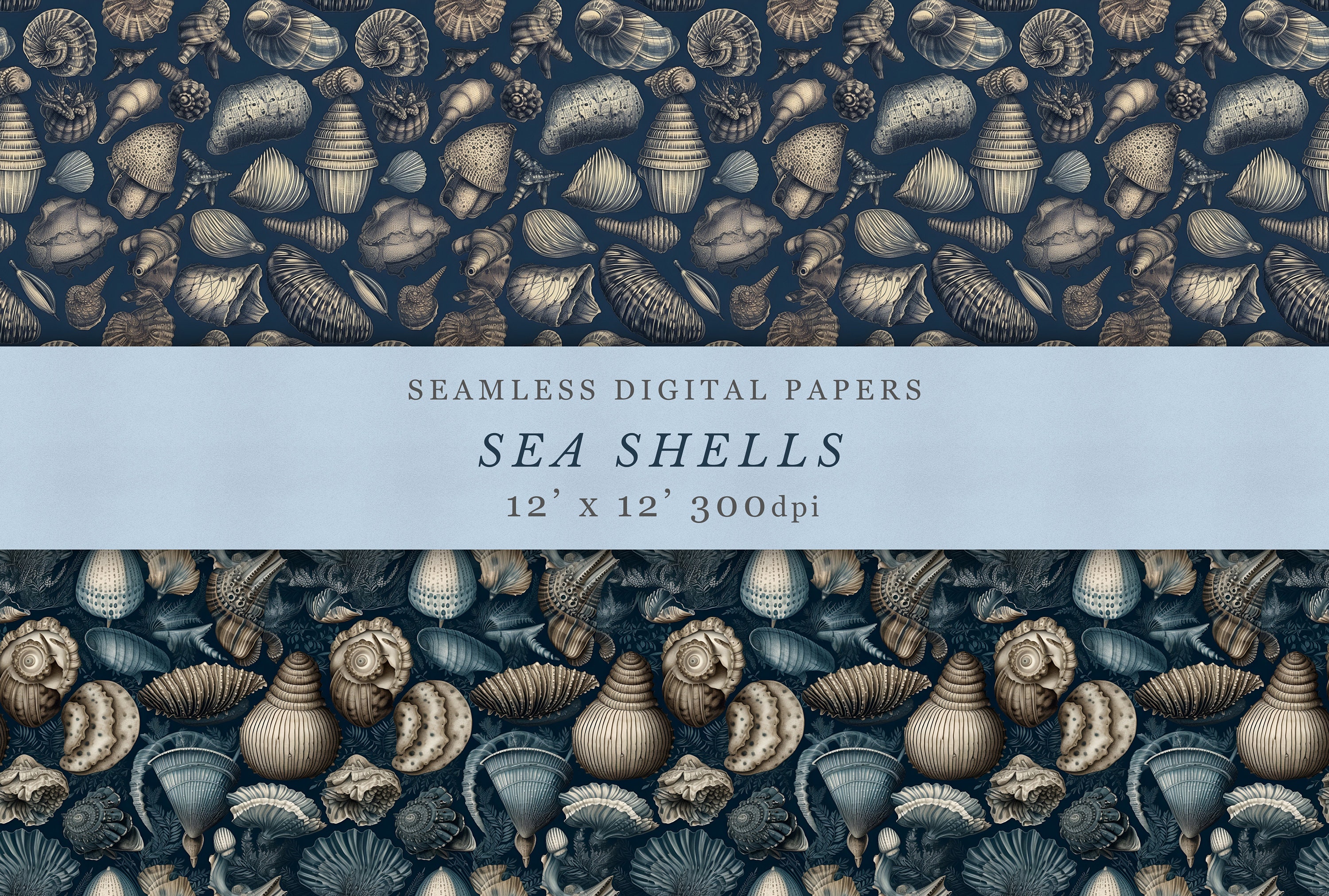 Sea Shell Digital Design Papers, Seamless Pattern, Blue Ocean ...