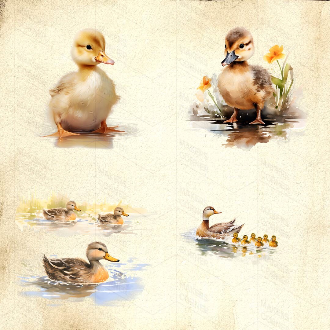 Farmstead Ducks Clip Art Collection High-quality Digital - Etsy