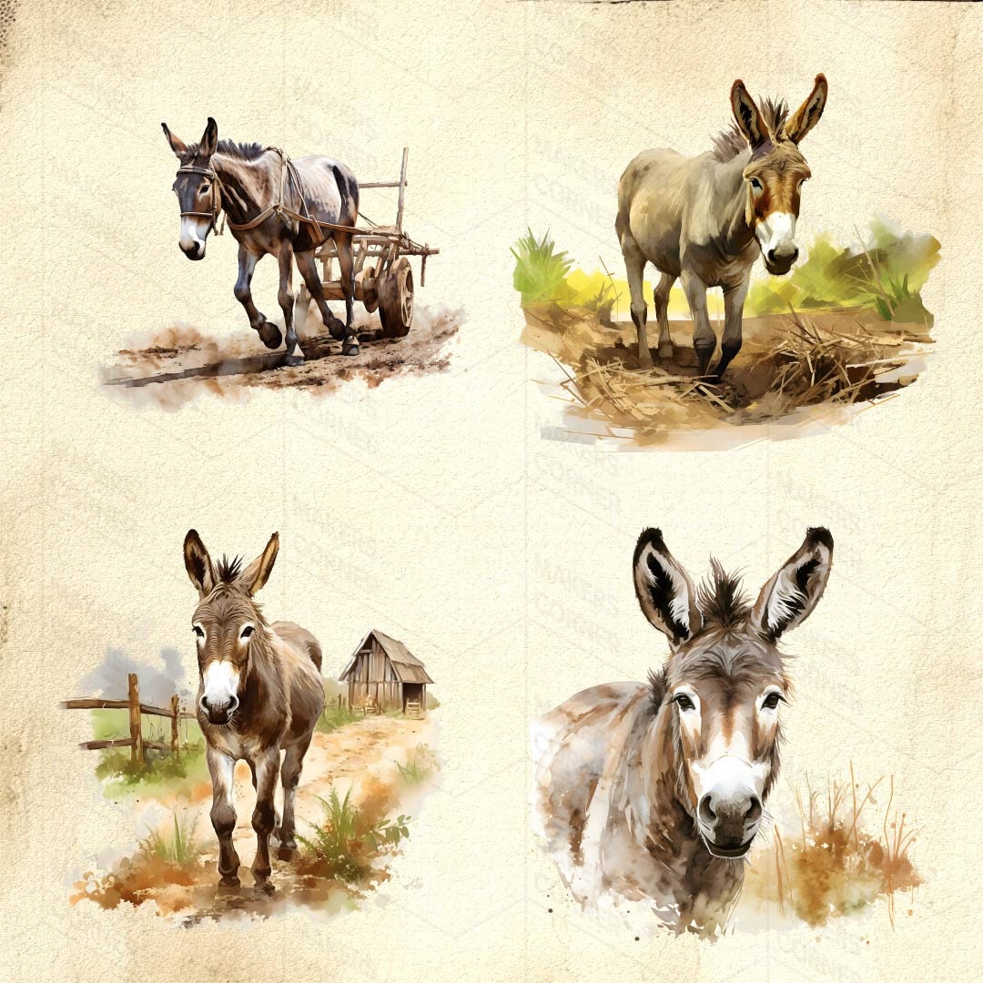 Donkeys & Mules Clip Art Collection High-quality Digital Downloads for ...