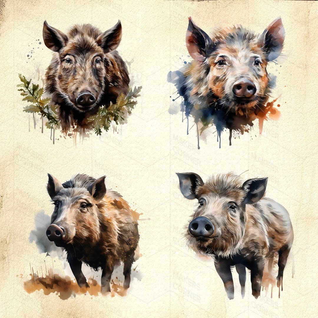 Wild Boar Clip Art Collection High-quality Digital Downloads for Art ...