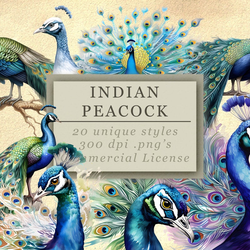 Peacock Digital - Etsy