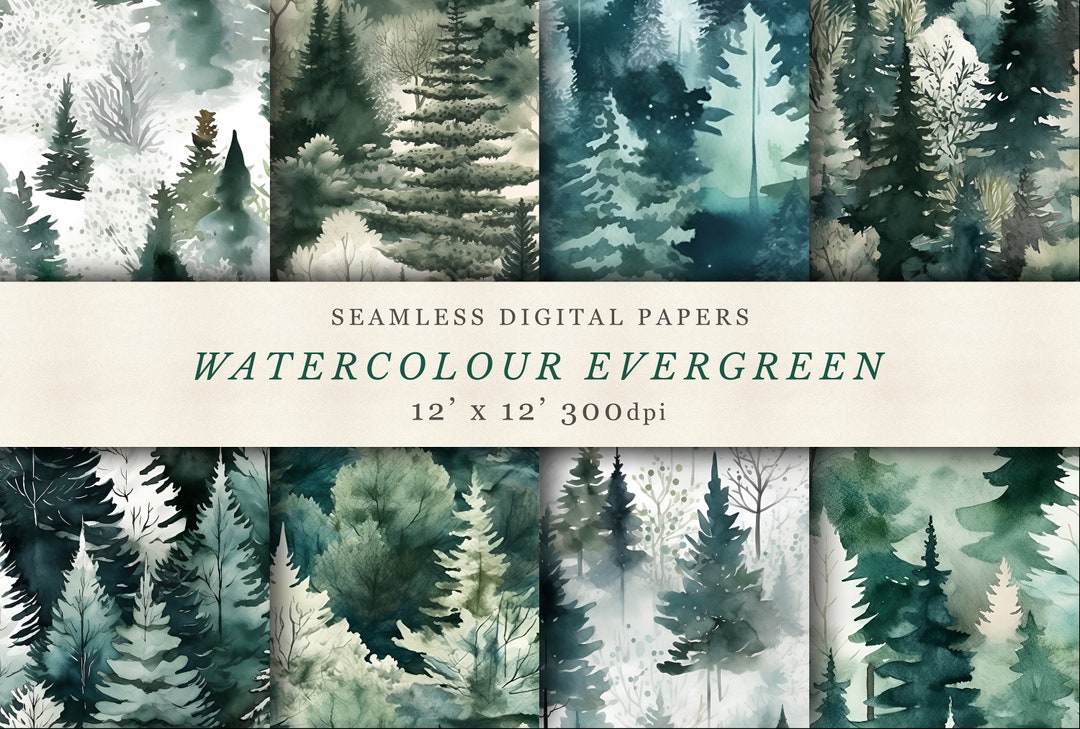 Evergreen Digital Design Papers, Forest Pattern, Woodland Background ...