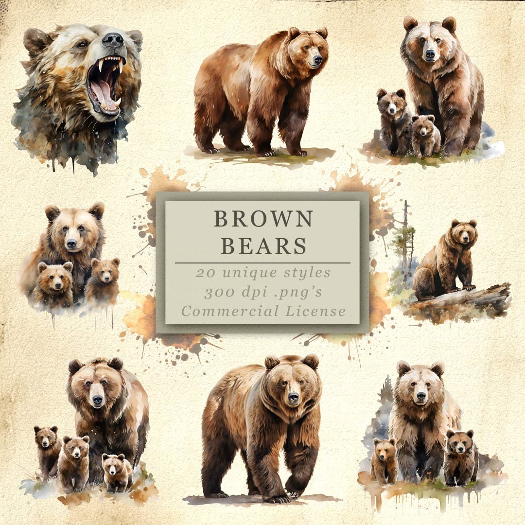 Brown Bears Clip Art Collection for Art and Design Instant - Etsy