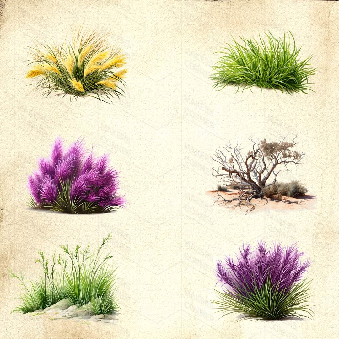 Grassland Flora Clip Art Collection Stunning Watercolor Artwork for Art ...