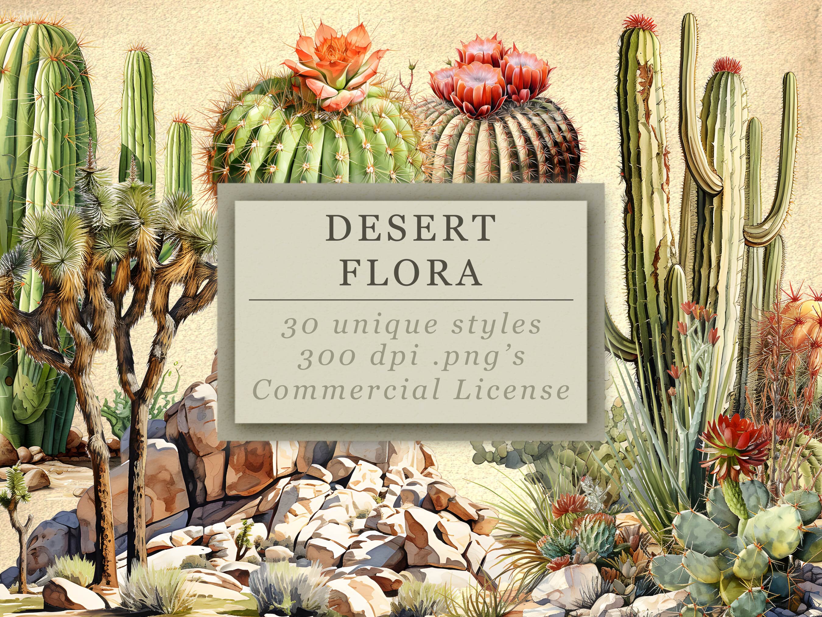 Ultimate Flora Bundle, Tropical Rainforest, Desert Plants, Aquatic ...