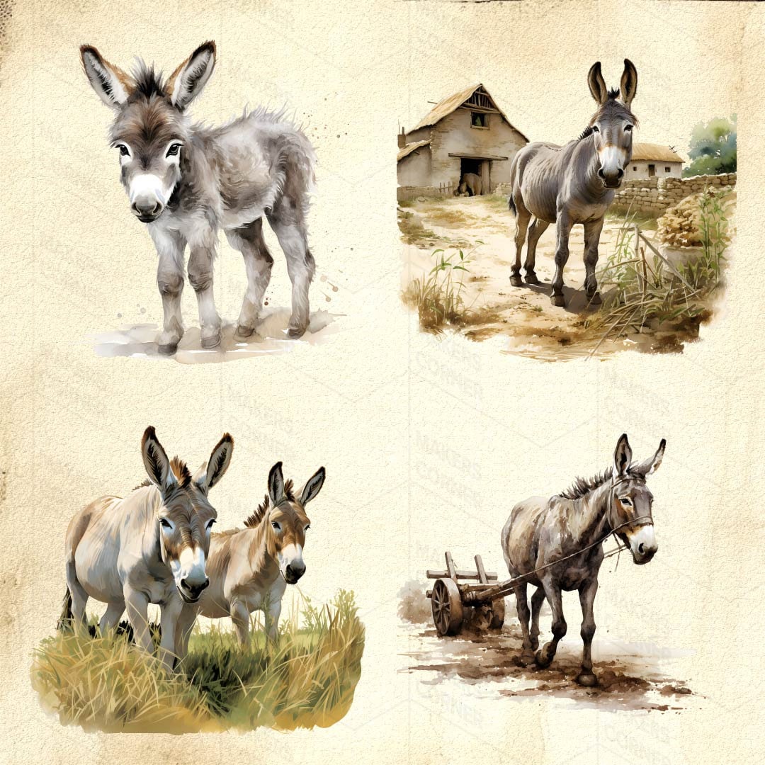 Donkeys & Mules Clip Art Collection High-quality Digital Downloads for ...