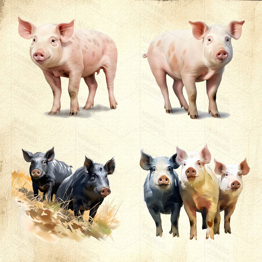 Free-range Pigs Clip Art Collection High-quality Digital Downloads for ...