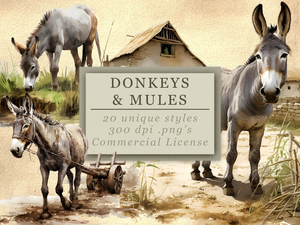 Donkeys & Mules Clip Art Collection High-quality Digital Downloads for ...