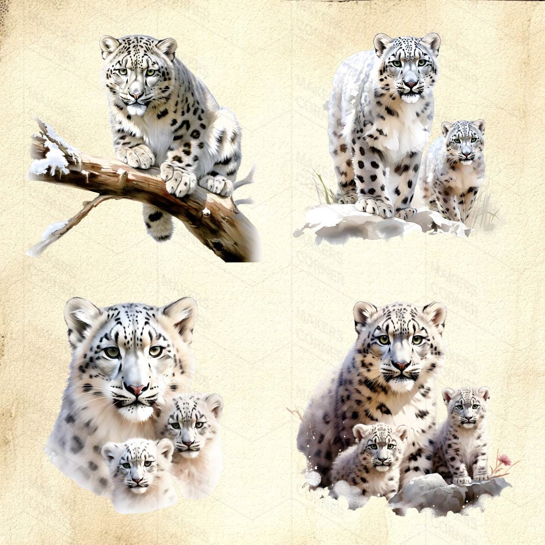 Snow Leopard Clip Art Collection High-quality Digital Downloads for Art ...
