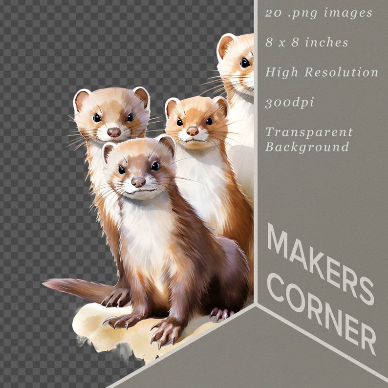 Stouts & Weasels Clip Art Collection High-quality Digital Downloads for ...