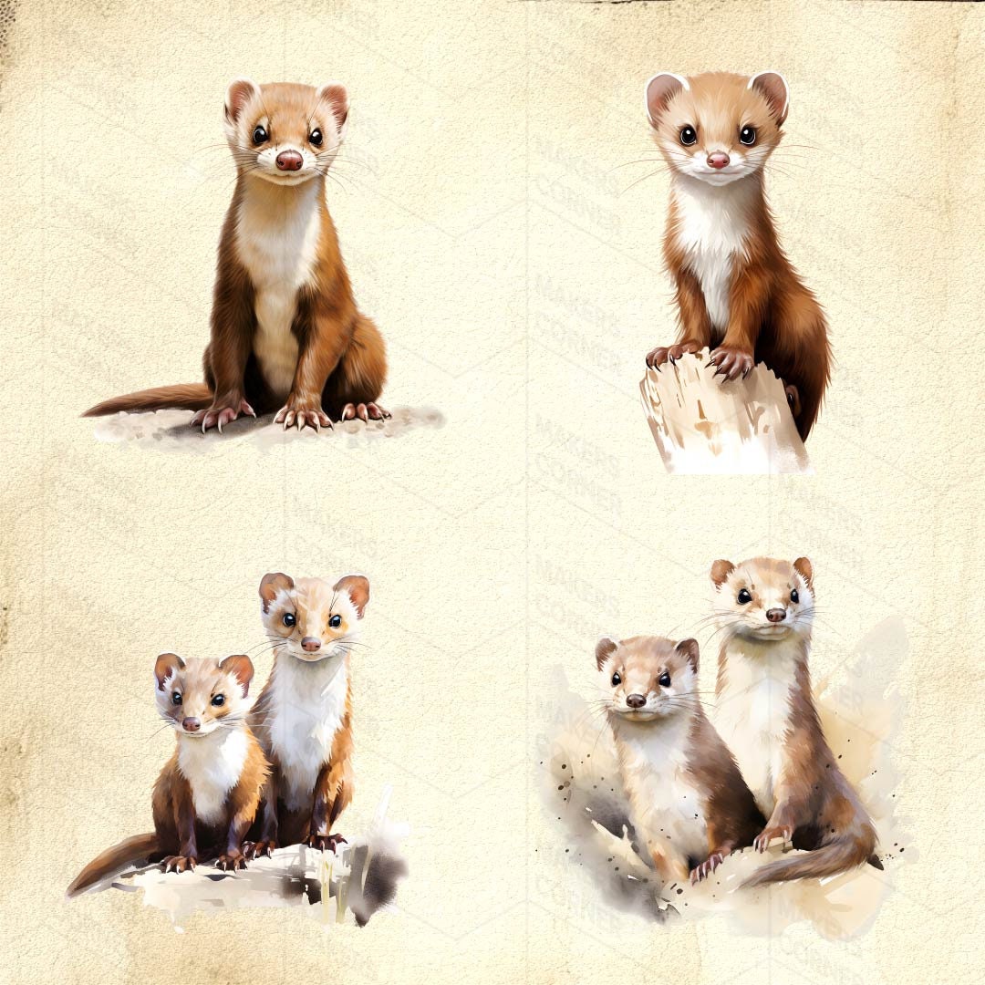 Stouts & Weasels Clip Art Collection High-quality Digital - Etsy