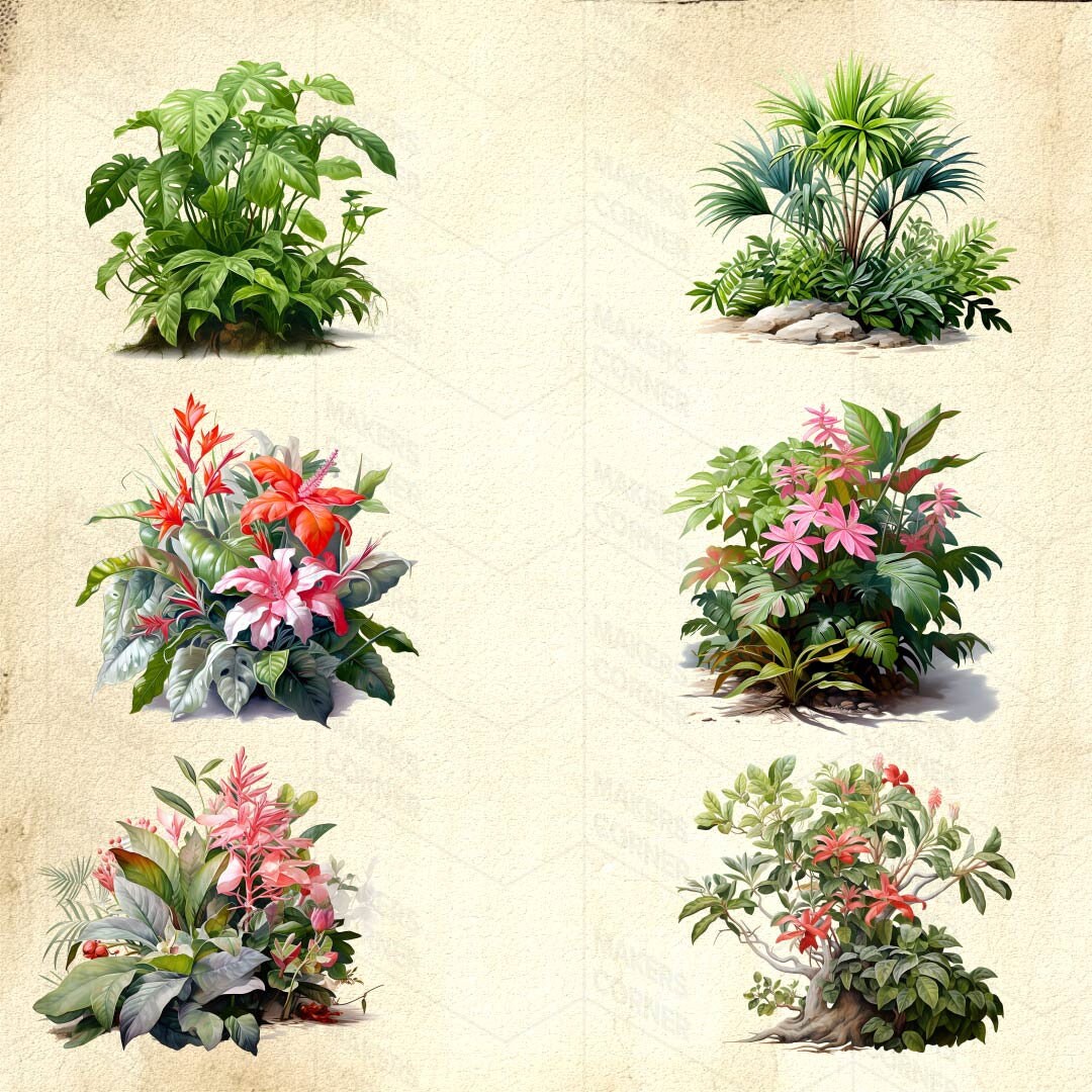 Tropical Rainforest Flora Clip Art Collection Stunning Watercolor ...