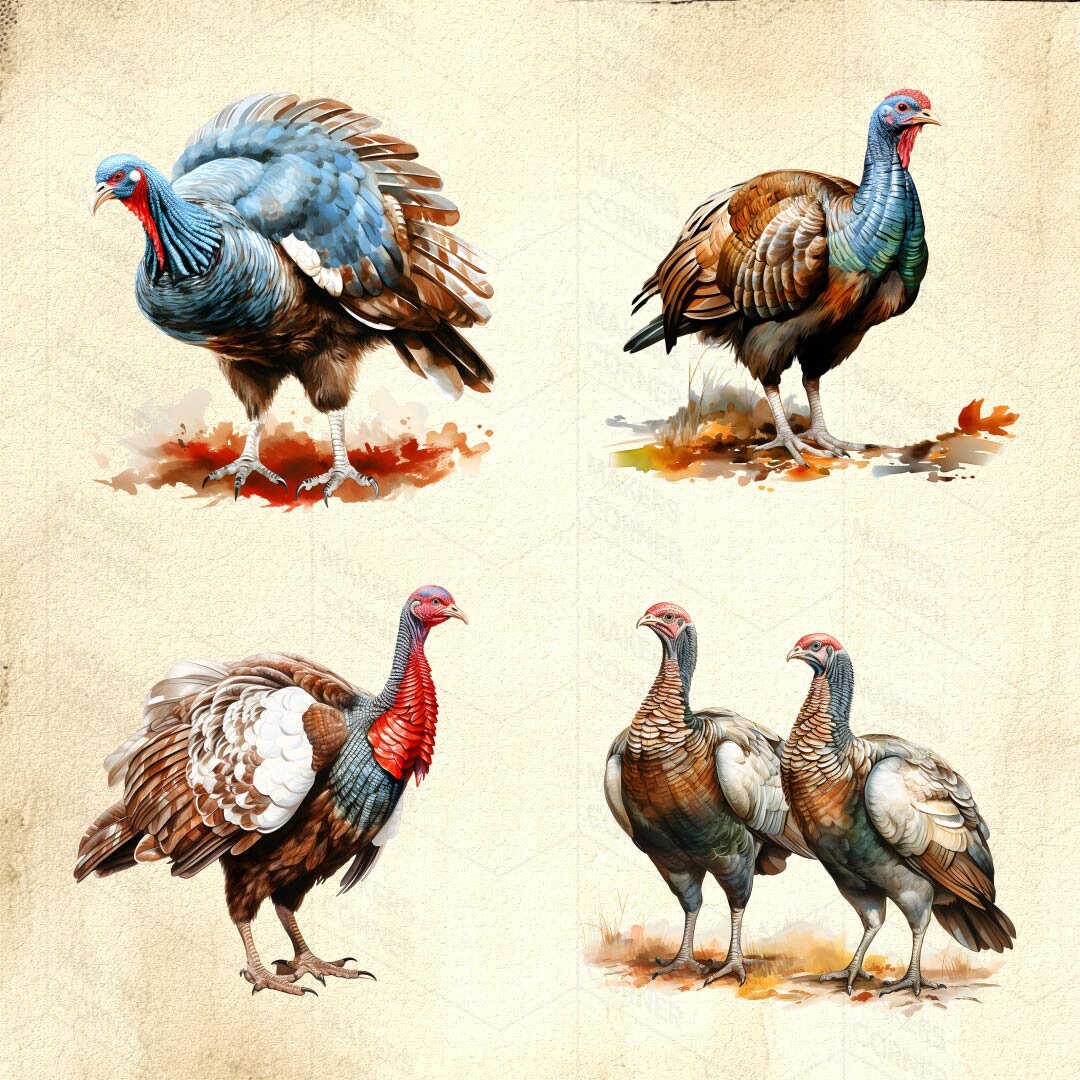 Gobbling Turkeys Clip Art Collection High-quality Digital Downloads for ...