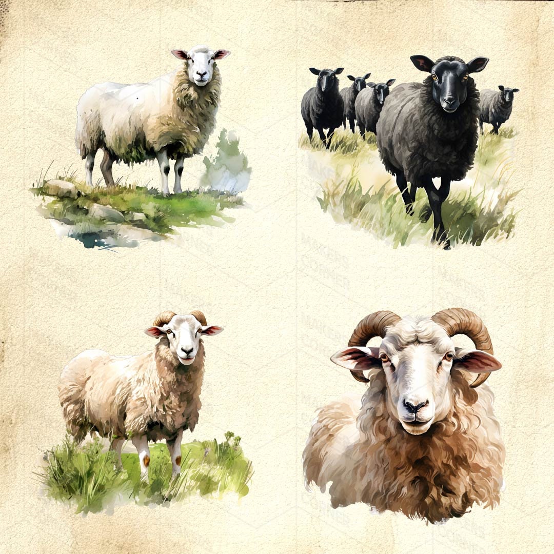 Rams & Sheep Clip Art Collection High-quality Digital Downloads for Art ...