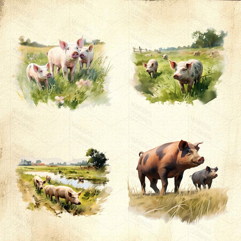 Free-range Pigs Clip Art Collection High-quality Digital Downloads for ...