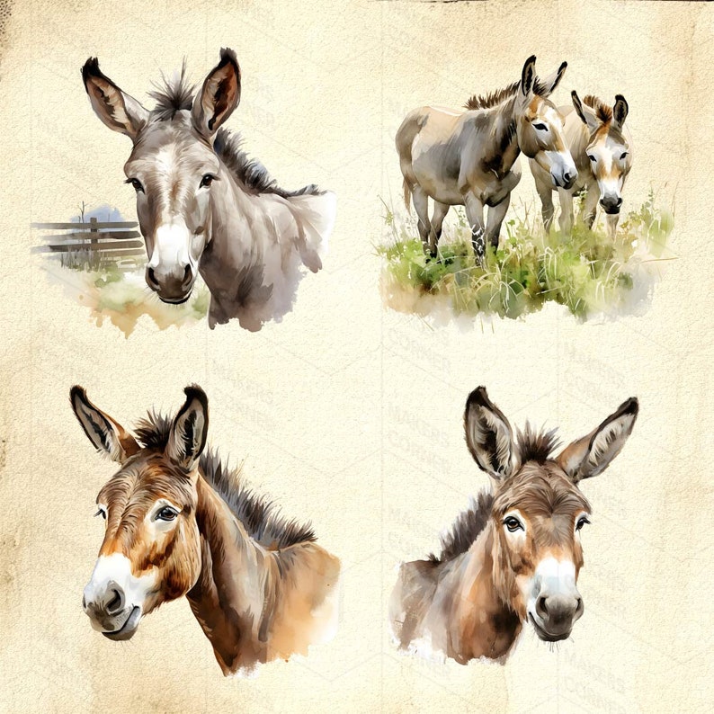 Donkeys & Mules Clip Art Collection High-quality Digital Downloads for ...