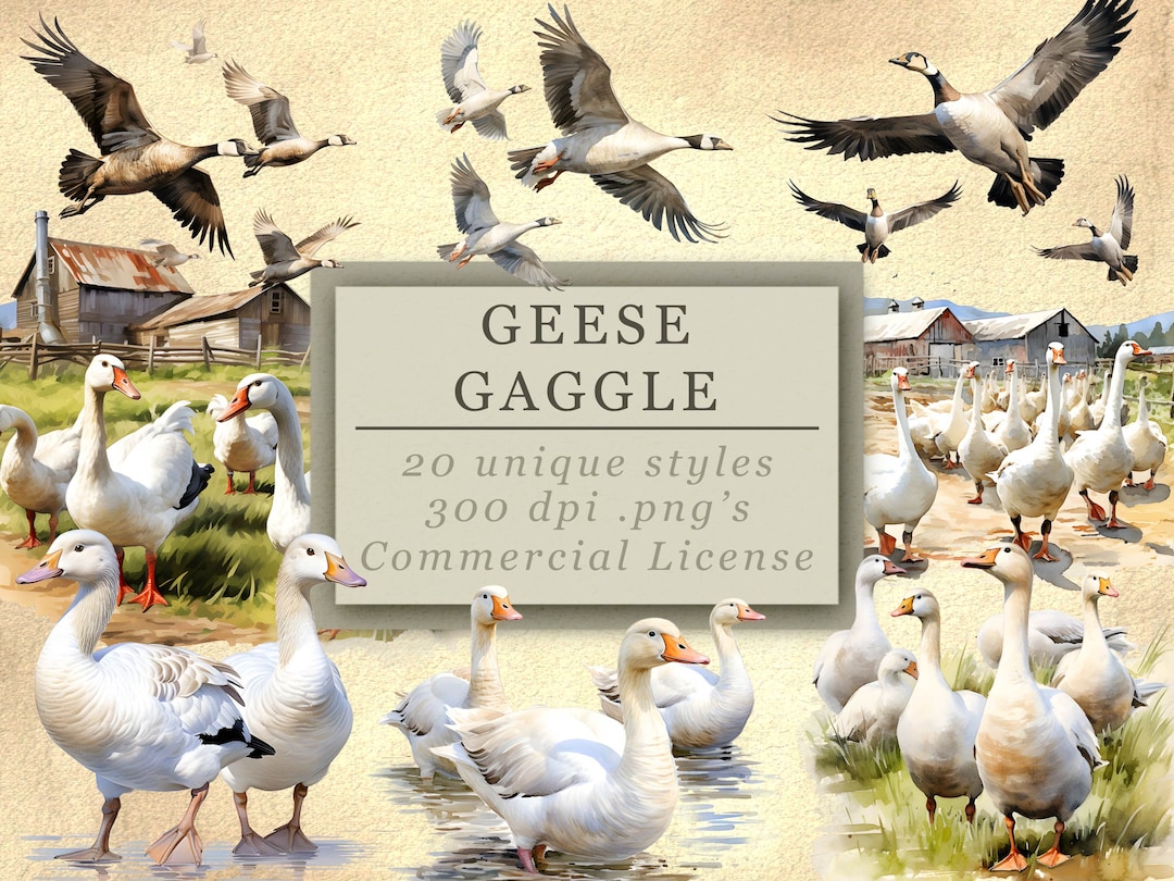 Geese Gaggle Clip Art Collection - High-quality Digital Goose Downloads ...
