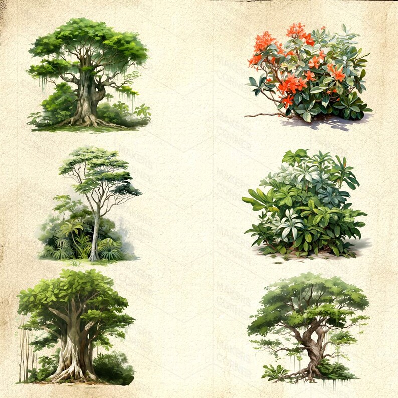 Tropical Rainforest Flora Clip Art Collection Stunning Watercolor ...