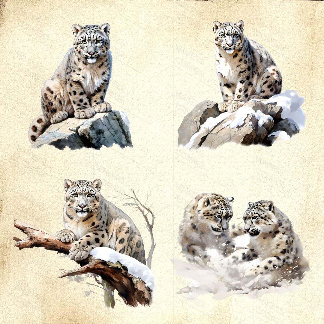 Snow Leopard Clip Art Collection High-quality Digital Downloads for Art ...