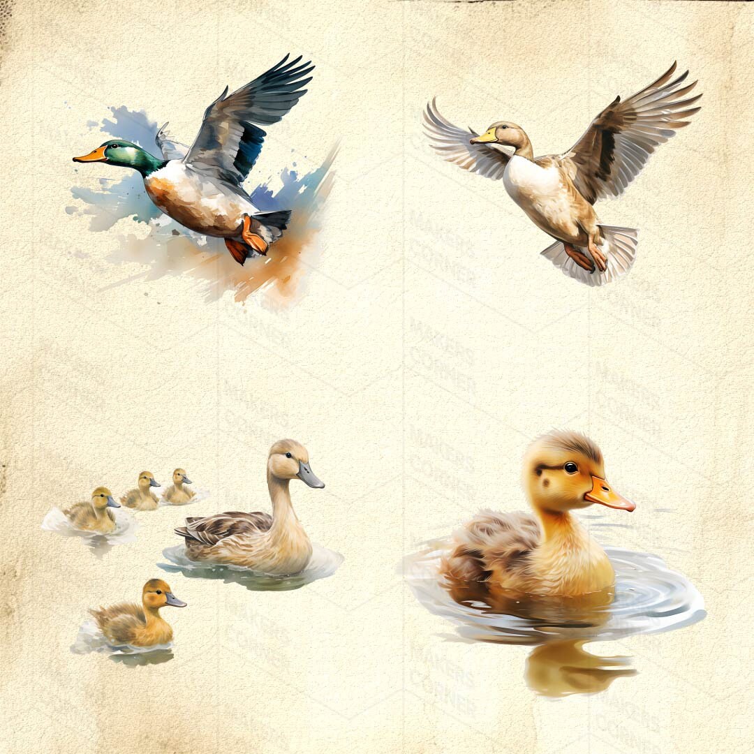 Farmstead Ducks Clip Art Collection High-quality Digital - Etsy