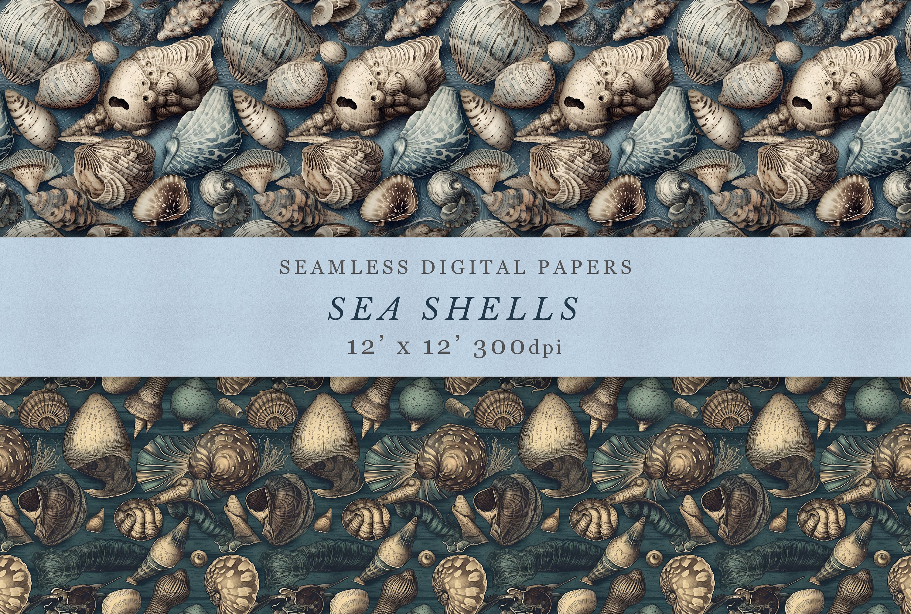 Sea Shell Digital Design Papers, Seamless Pattern, Blue Ocean ...