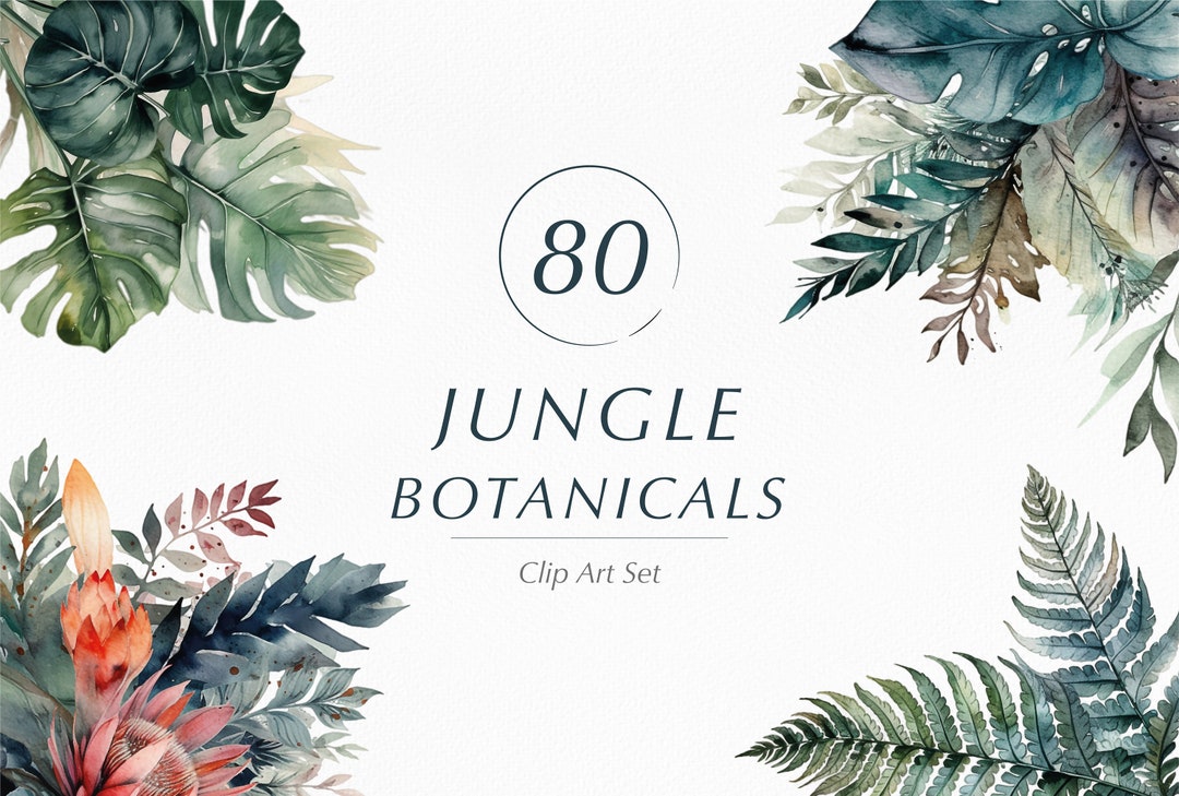 Watercolor Jungle Clipart Bundle - Tropical Elements - Jungle Leaves ...