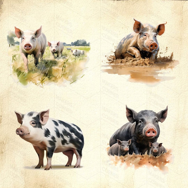 Free-range Pigs Clip Art Collection High-quality Digital Downloads for ...