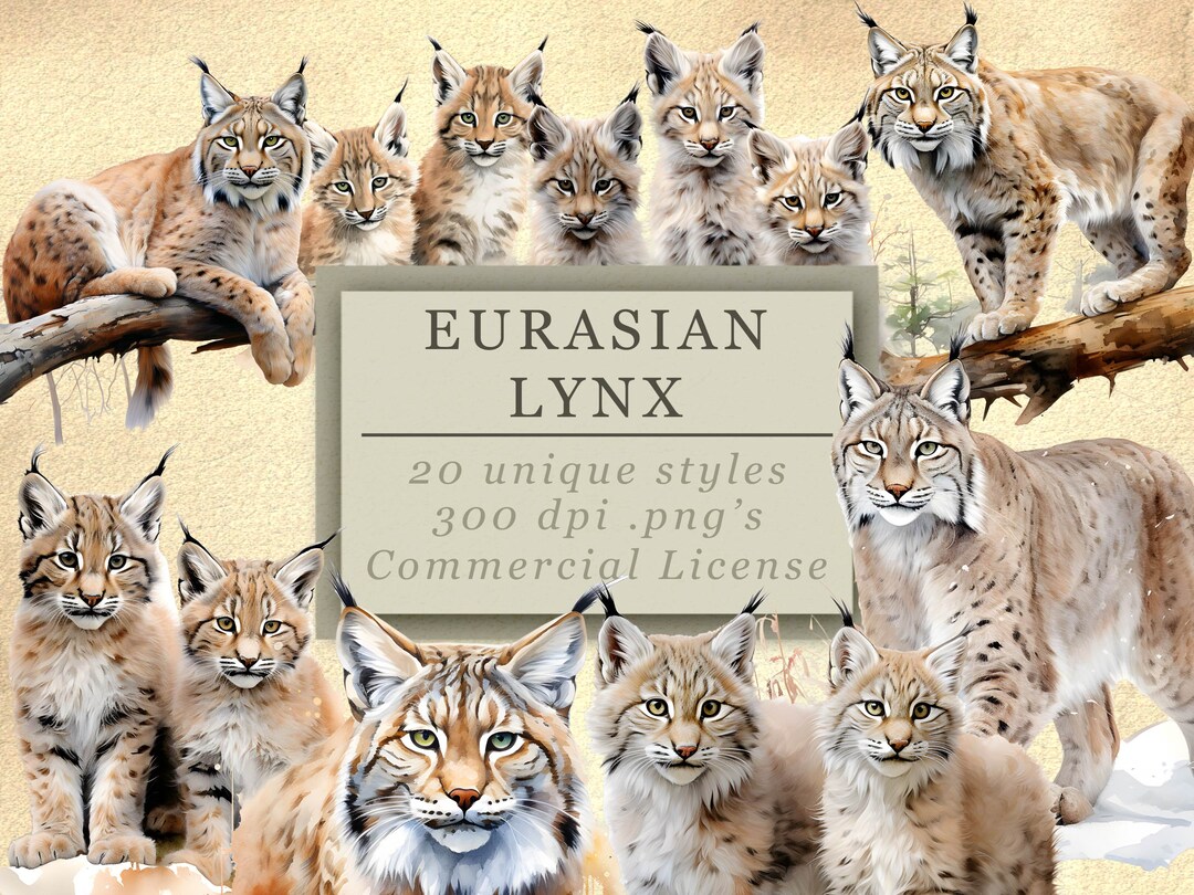 Eurasian Lynx Clip Art Collection - High-quality Digital Downloads for ...