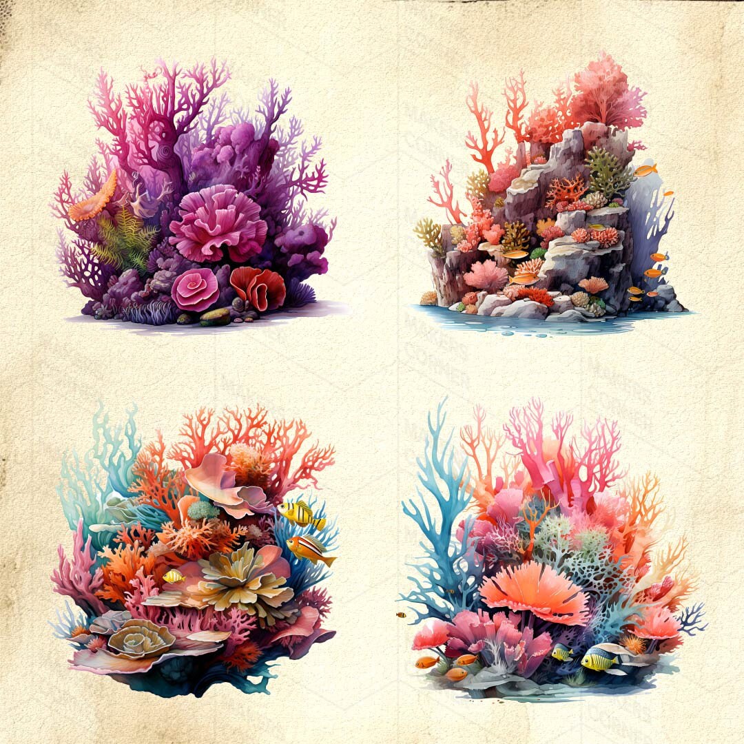 Vibrant Coral Reefs Clip Art Collection for Art and Design - Etsy