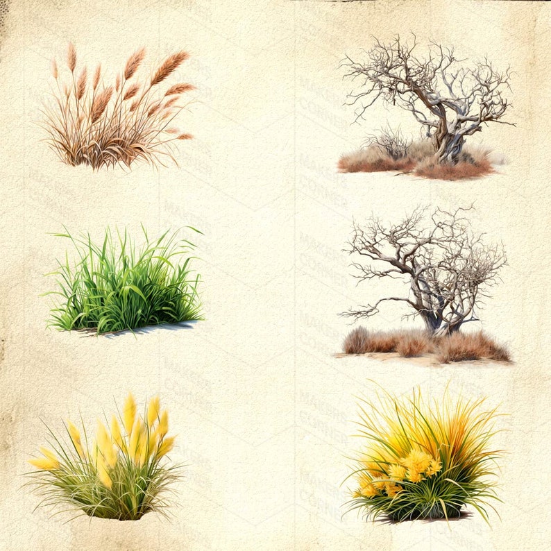 Grassland Flora Clip Art Collection Stunning Watercolor Artwork for Art ...