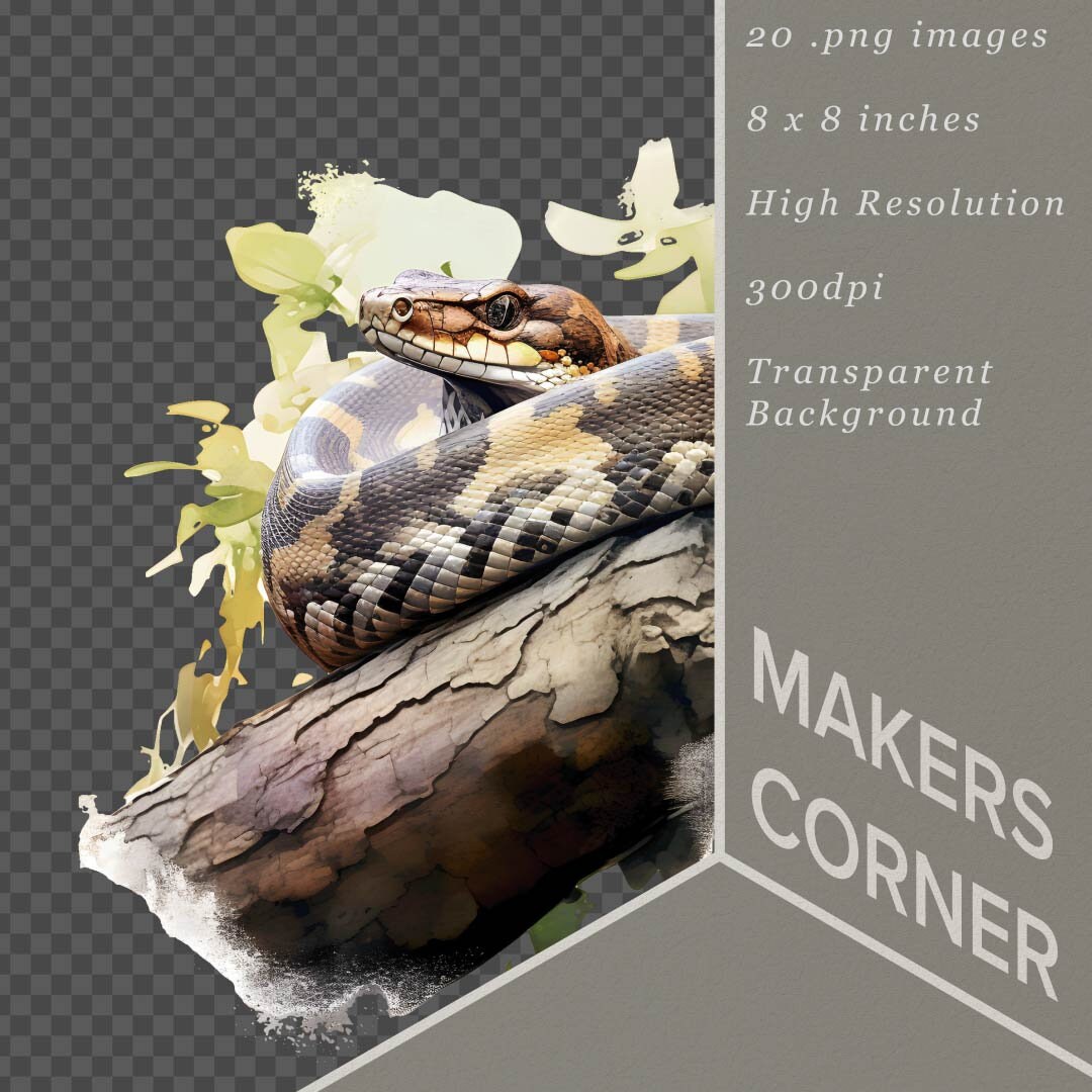 Indian Python Snake Clip Art Collection High-quality Digital - Etsy