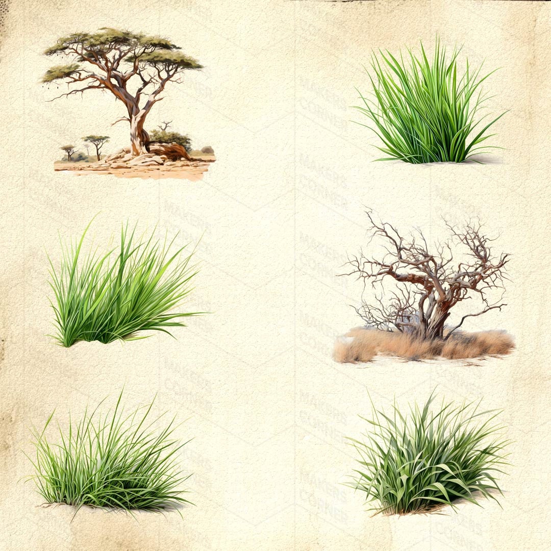 Grassland Flora Clip Art Collection Stunning Watercolor Artwork for Art ...