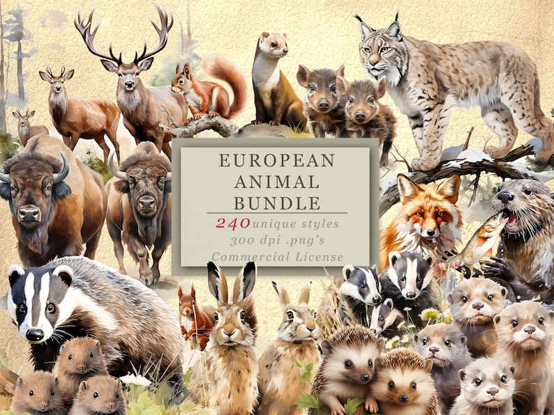 European Animal Clipart Bundle 12 Packs, 240 Png's High-quality Digital ...