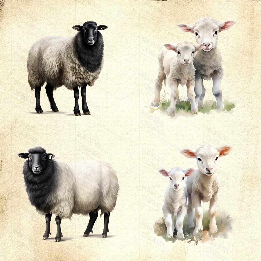 Rams & Sheep Clip Art Collection High-quality Digital Downloads for Art ...
