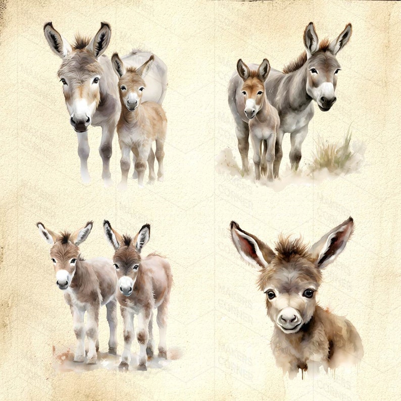 Donkeys & Mules Clip Art Collection High-quality Digital Downloads for ...