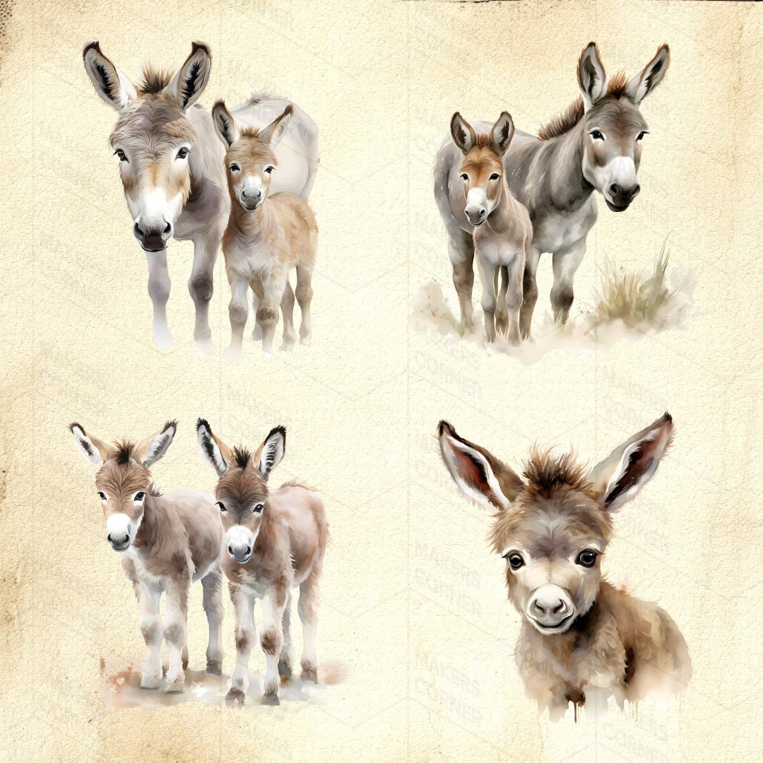 Donkeys & Mules Clip Art Collection High-quality Digital Downloads for ...