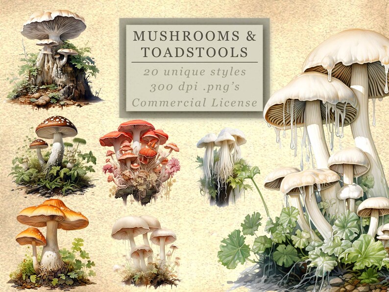 Mushrooms & Toadstools Clip Art Collection for Art and Design - Etsy