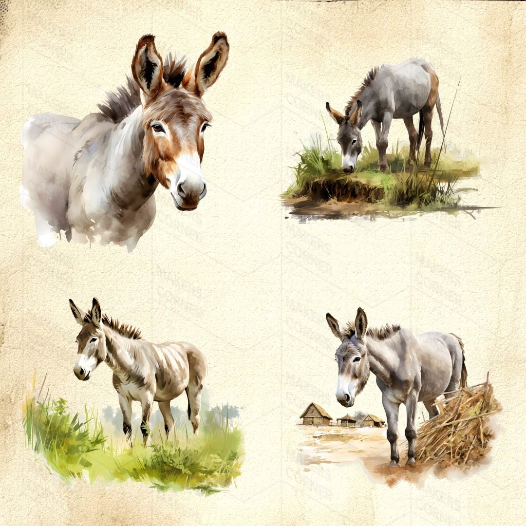 Donkeys & Mules Clip Art Collection High-quality Digital Downloads for ...