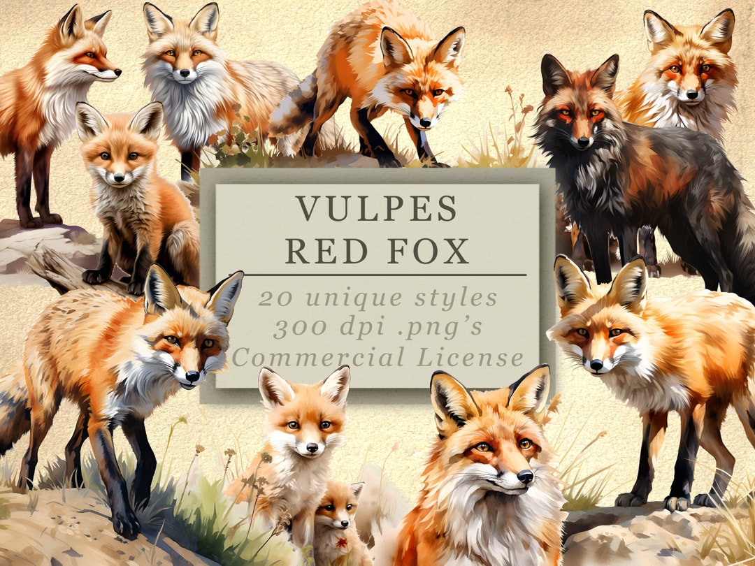 Red Fox Clip Art Collection - High-quality Digital Downloads for Art ...