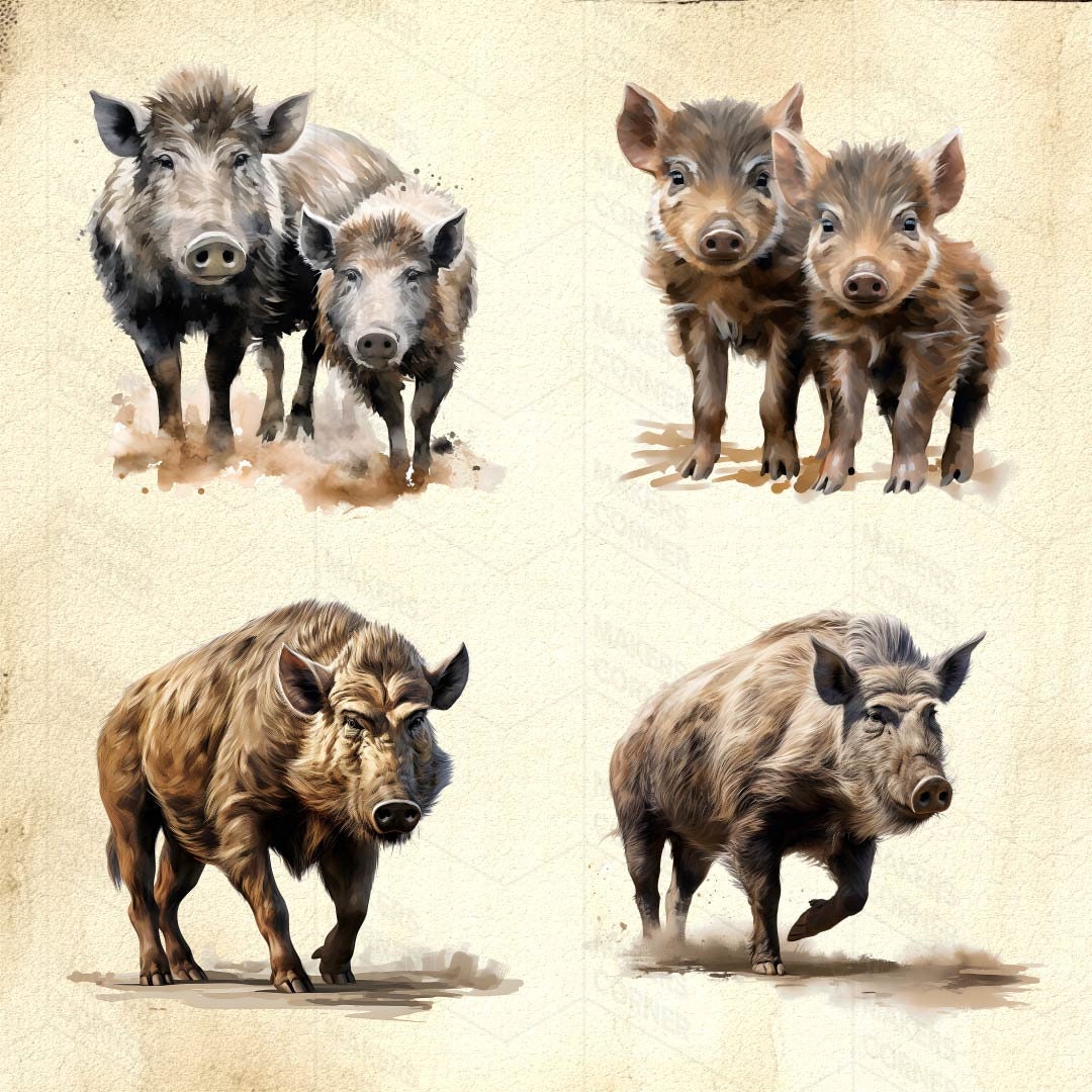 Wild Boar Clip Art Collection High-quality Digital Downloads for Art ...