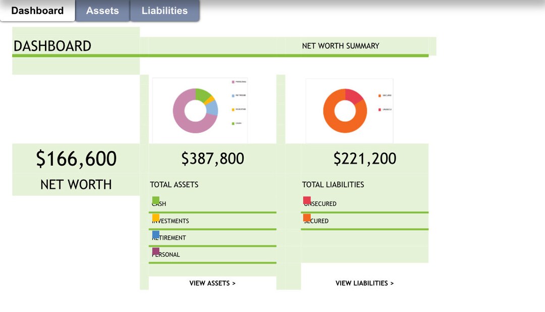 Graphical Net Worth Tracker - Etsy