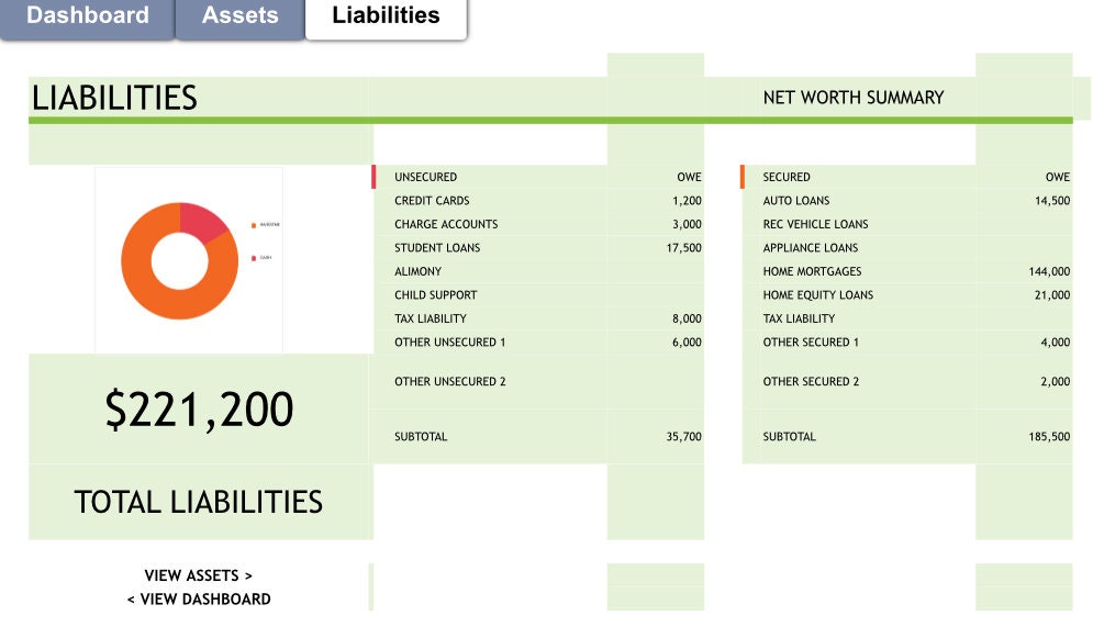 Graphical Net Worth Tracker - Etsy