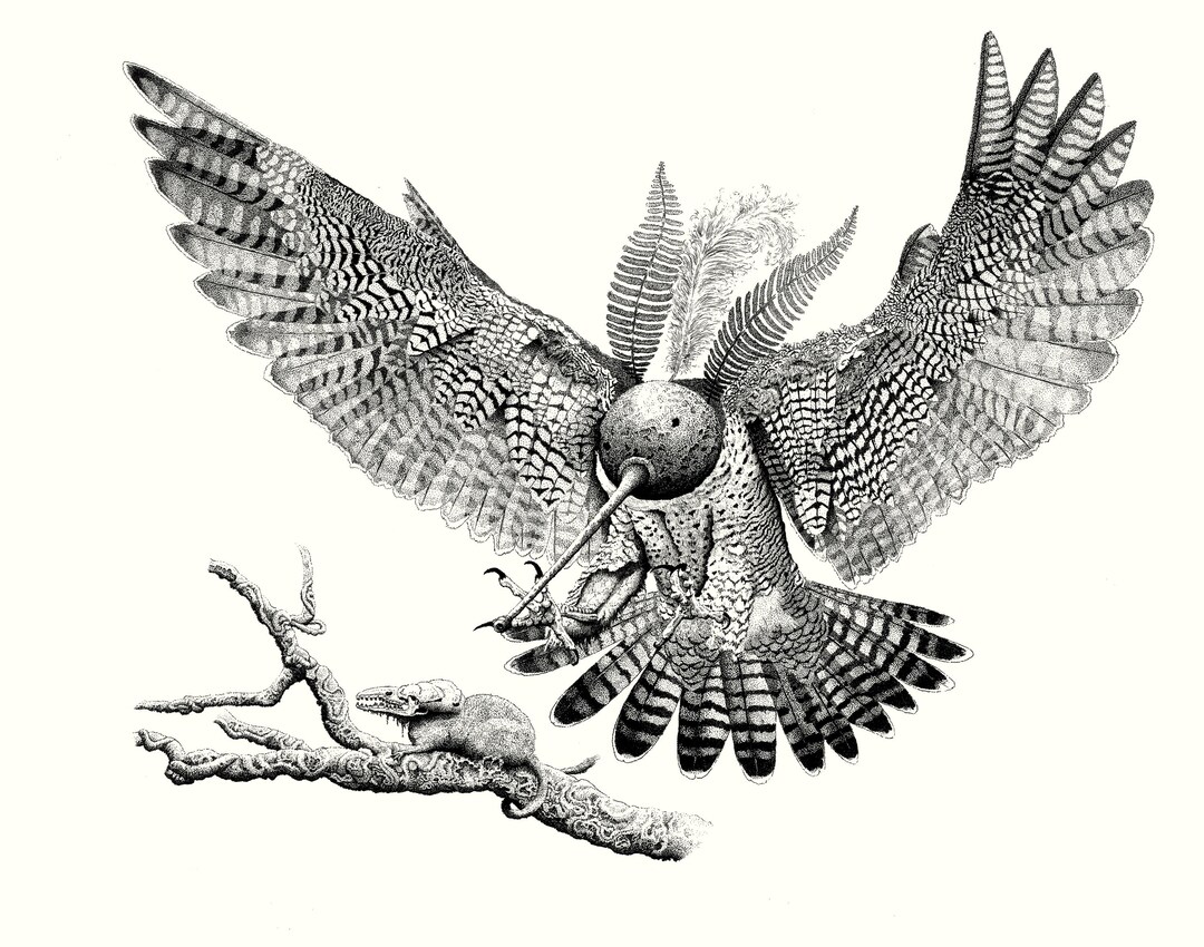Screaming Kettlehead Falcon Heavyweight 300gsm Fine Art Print A3 - Etsy