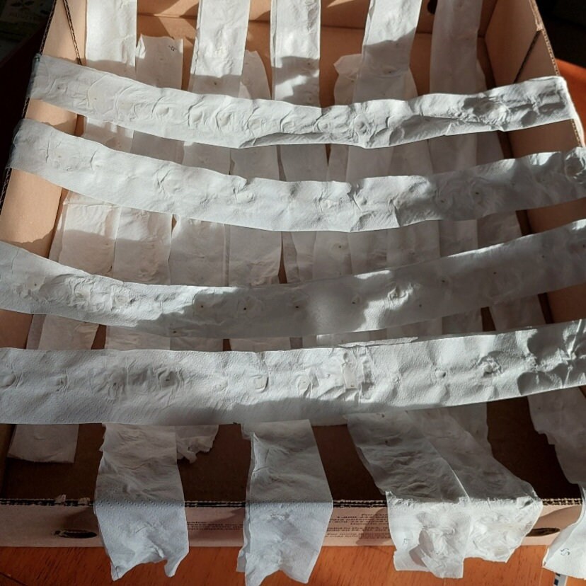 How to Make No Thin Carrot Tape - Etsy