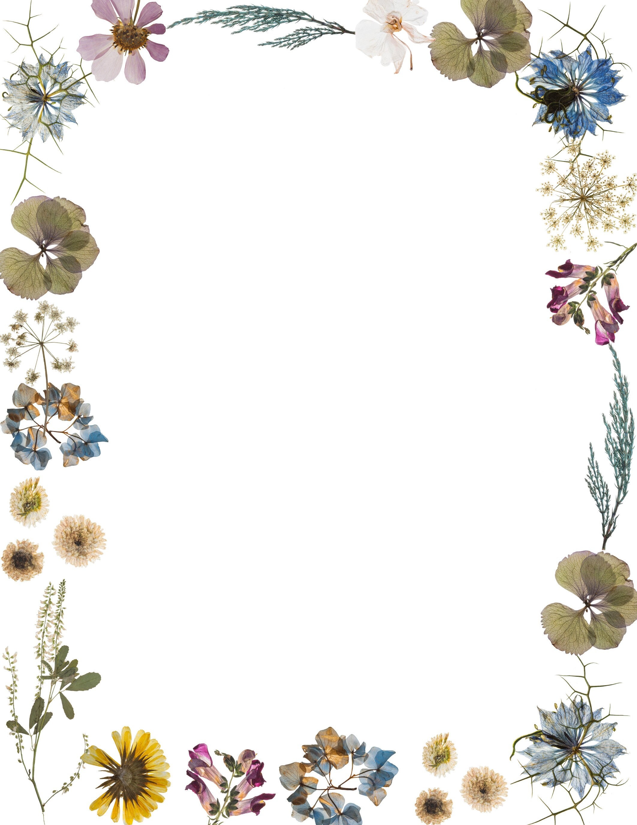 Printable Dried Flower Border - Invitation Template - Realistic Plants ...